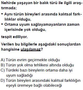 Sorubak Online Test Çöz