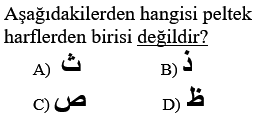 Sorubak Online Test Çöz