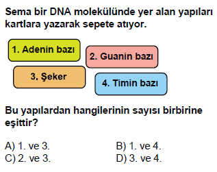 Sorubak Online Test Çöz
